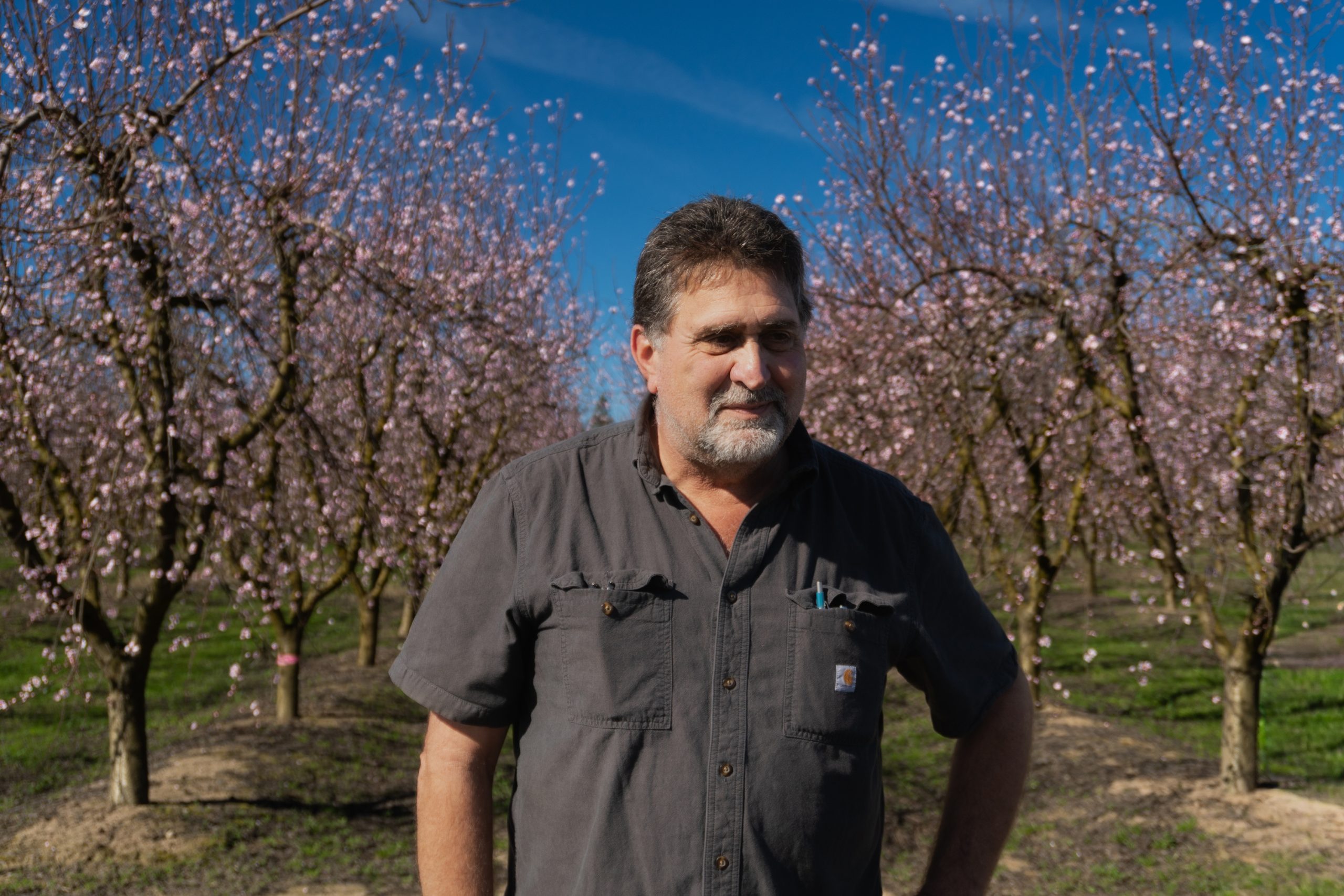 Shock waves of Modesto Del Monte plant closure hit local fruit farms ...